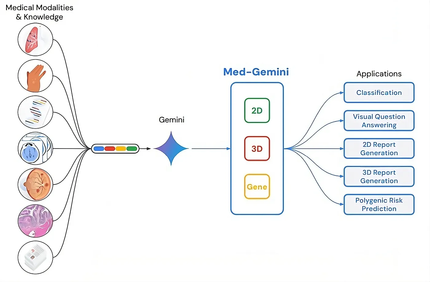 Hasta la IA se equivoca: Med-Gemini inventó una parte del cerebro luego ...